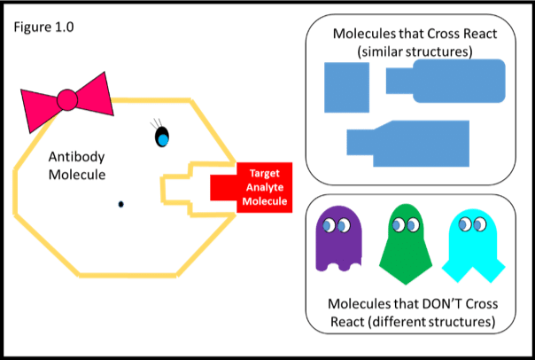 Immunoassay Cross-reactivity: The Important of Accurate Interpretation